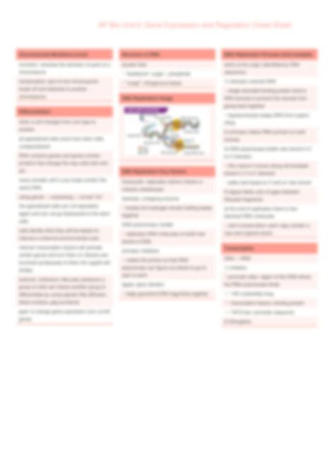 SOLUTION Ap Bio Unit 6 Gene Expression And Regulation Cheat Sheet