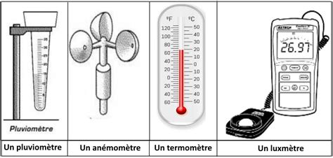 Svt Bac Maroc