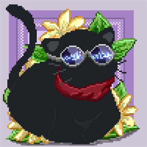Sunglasses Daily Art Challenge Pixilart