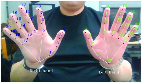 Two Handed Recognition Scheme Using Mediapipe Holistic Api Hand