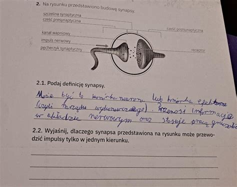 Plis Potrzebuje Na Teraz Daje Naj Brainly Pl