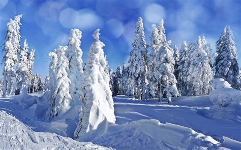 Paysage Hiver Fond Cran Fond D Cran Ultra Hd