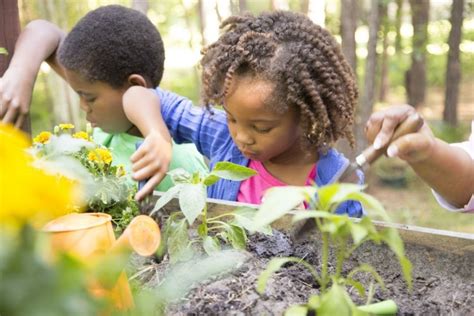 Crianças 4 dicas para ajudar a cuidar do planeta Ecowords
