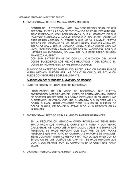 Medios DE Prueba De L Ministerio Público MEDIOS DE PRUEBA DEL