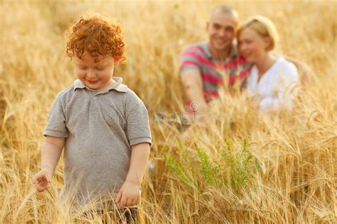 Família Feliz Do Fazendeiro No Campo De Trigo Foto de Stock Imagem de