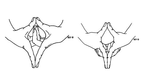 Yoni Mudra How To Do Yoni Mudra Benefits Variations