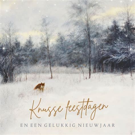 Kerstkaart Van Vos In Het Bos Kerstkaarten Kaartje Go