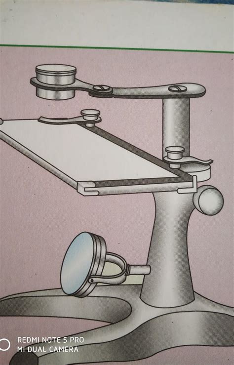 Explain Dissecting Microscope Brainly In