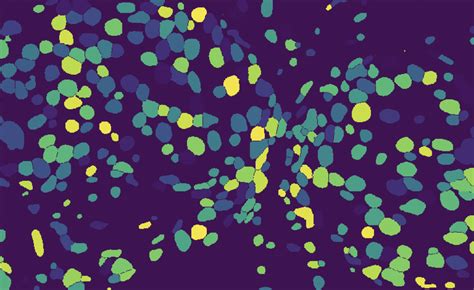 GitHub Angelolab Ark Analysis Integrated Pipeline For Multiplexed
