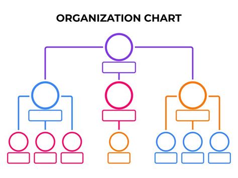 The Organization Chart Is Shown In Different Colors