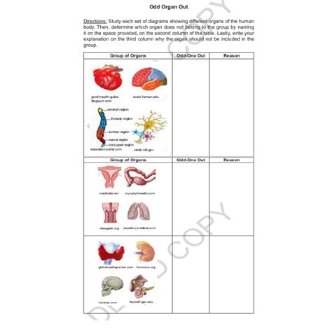 Study Each Set Of Diagrams Showing Different Organs Of The Human Body