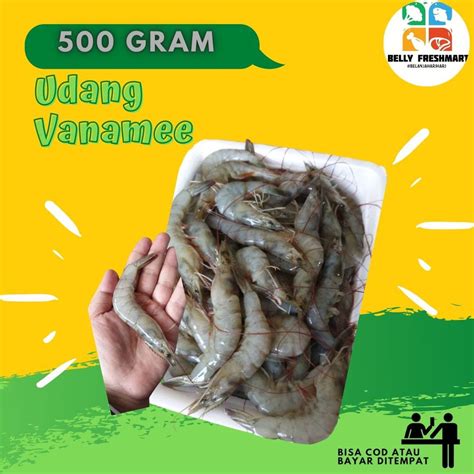 Jual UDANG VANAME VANAMEE SEGAR SIZE 50 KUALITAS SUPER DAGING BEKU SIAP