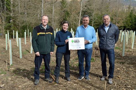 Nussbaum Stiftung Website Der ZukunftsWald wächst in Sulz am Neckar