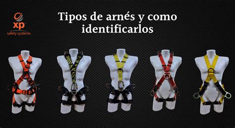 Tipos de arnés y como identificarlos Blog HSE Group