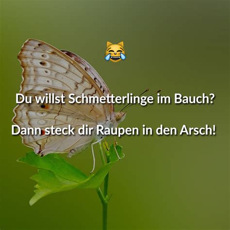 36 Schmetterlinge Im Bauch Sprueche Du Willst Schmetterlinge Im