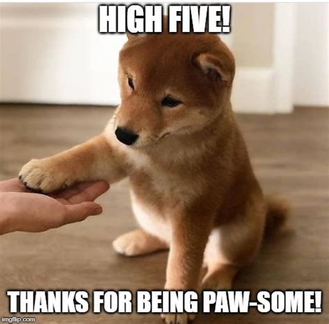 Internet High Five Meme