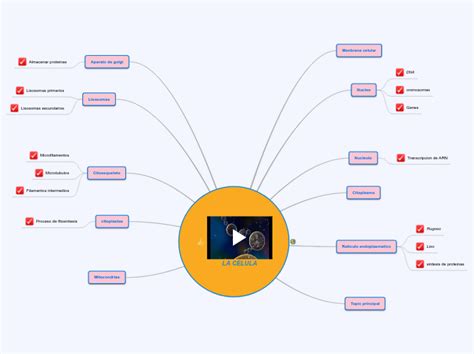 LA CELULA Mind Map