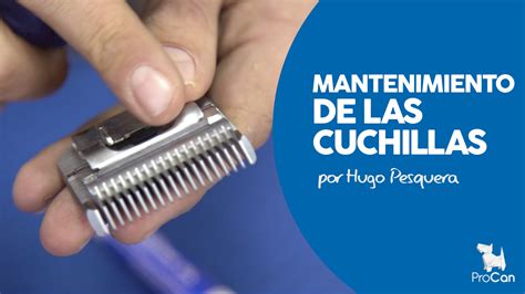 Video Post Mantenimiento De Cuchillas De Peluqueria Canina Procan