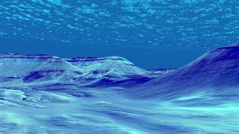 Gisoft Design Illustration Graphic Fonds D Cran Fonds Marins
