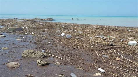 Pioggia Del 20 Giugno Spiagge Invase Dai Rifiuti Il Sib Serve