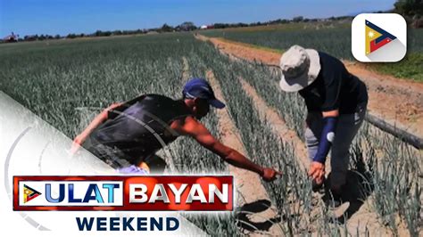 BPI Nag Ikot Sa Mga Lugar Na Nakaranas Ng Peste Sa Sibuyas Video