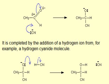 Unit Organic Reactions Flashcards Quizlet