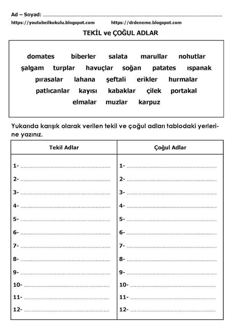 Tekil ve Çoğul Adlar Etkinliği 4