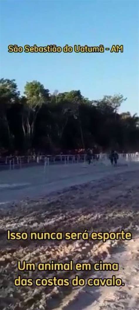 Cavalo é sacrificado após sofrer lesão em feira agropecuária no AM