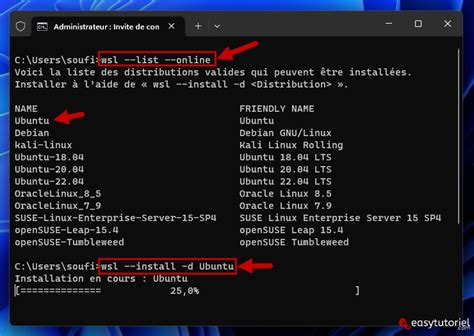 Comment Installer Wsl Rapidement Sur Windows Easytutoriel