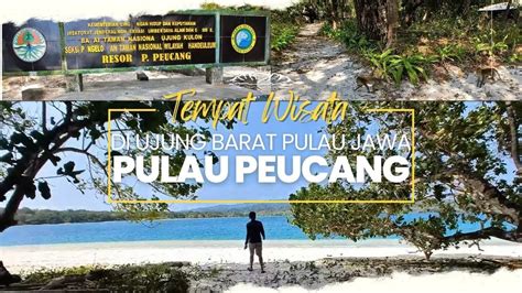 Petualangan Seru Di Pulau Peucang Eksplorasi Surga Tersembunyi Di