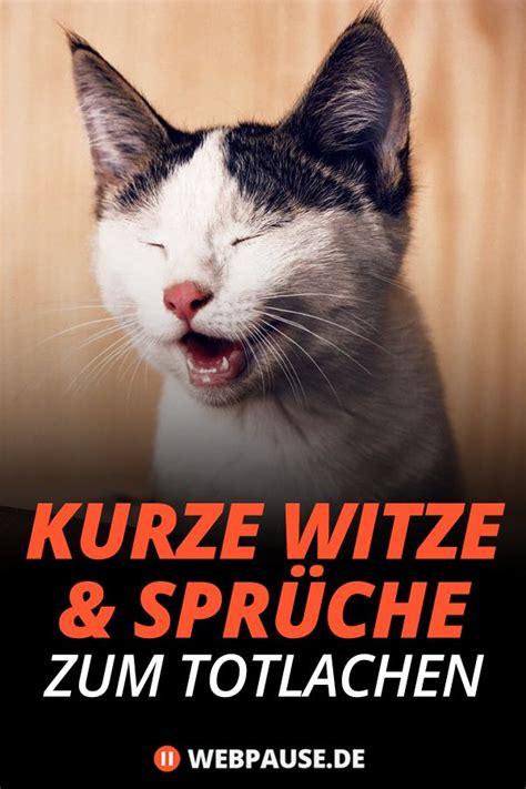 45 Lustige bilder sprueche totlachen 15 Kurze AntiWitze und Sprüche