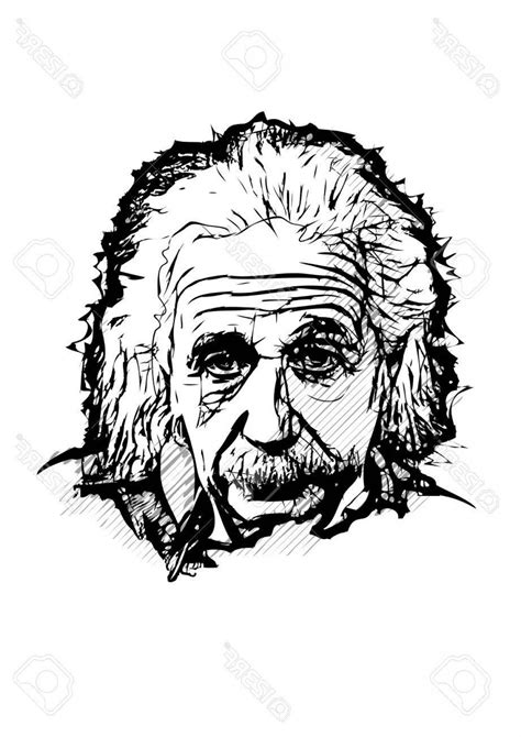 Albert Einstein Vector At Vectorified Collection Of Albert