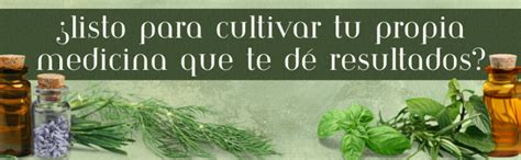 Olvídate De La Farmacia Cultiva Tu Propia Medicina La Guía De