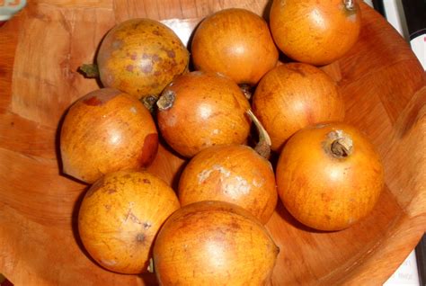 The Amazing Health Benefits Of Agbalumo African Star Apple