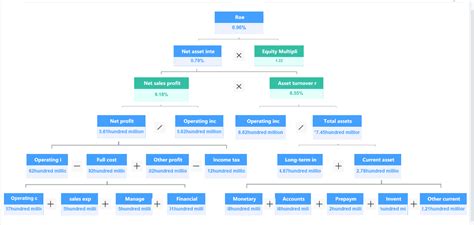 Dupont Analysis