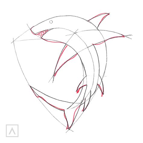 How To Draw A Shark In Steps Arteza