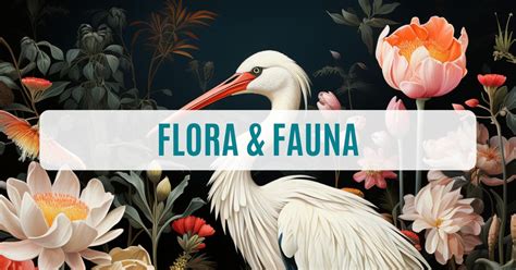 Difference Between Flora And Fauna Diferr 52 OFF