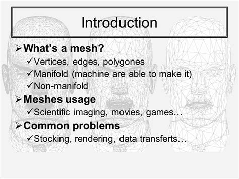Mesh Simplification Plan Introduction Mesh Simplifications Current