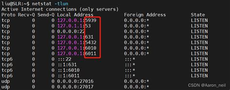 linux常见命令 21 网络命令 ping、ifconfig、last、lastlog、traceroute、netstat linux网路包走向图命令 csdn博客