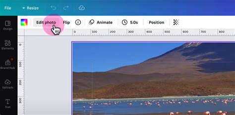 Canva Ai Magic Edit Tutorial Replace Anything From Image