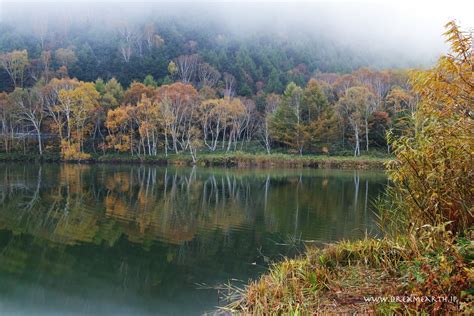 Dream Earth