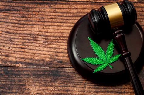 Cannabis au volant les limites et conséquences au Québec JuriGo ca