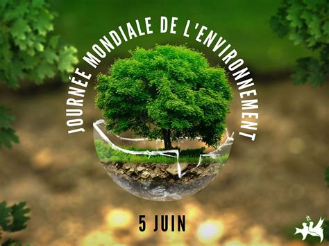 Renforcer la sécurité climatique en Haïti une urgence selon lONU
