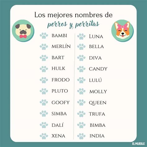 Más de 200 nombres para perros machos y perritas bonitos originales e
