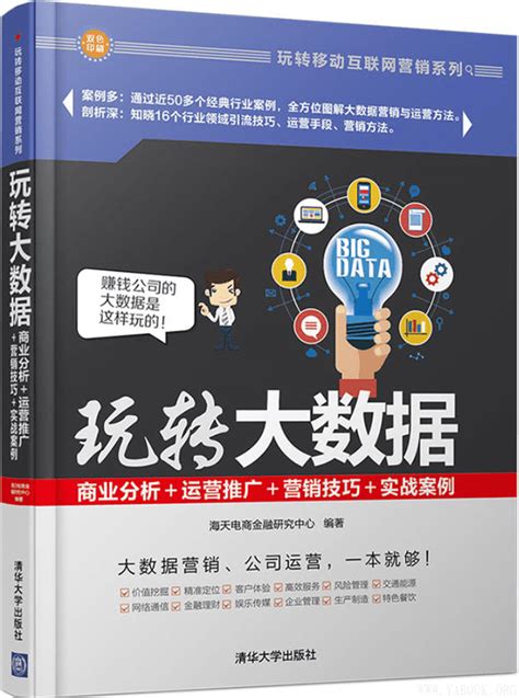 《玩转大数据：商业分析 运营推广 营销技巧 实战案例》海天电商金融研究中心【文字版 pdf电子书 推荐】 经济管理 雅书