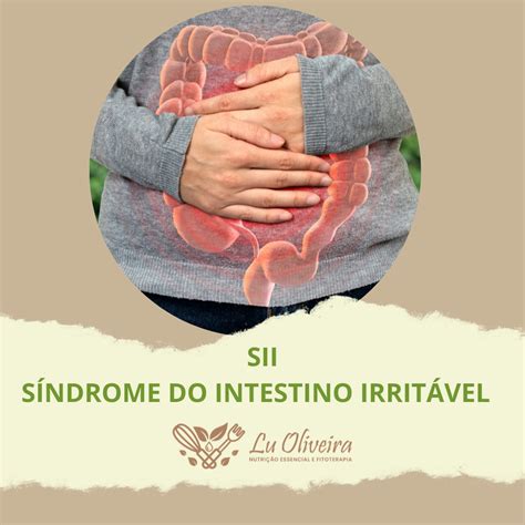 SÍNDROME DO INTESTINO IRRITÁVEL SII Lu Oliveira Nutricionista