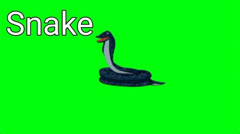 Snake Green Screen Video No Copyright Video Youtubegreenscreenvideo