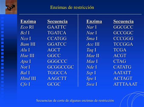 Ppt Marcadores De Determinaci N Directa Introducci N Enzimas De