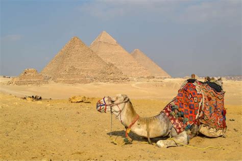 Ägypten Urlaub Tipps 15 wichtige Reisetipps für Ägypten