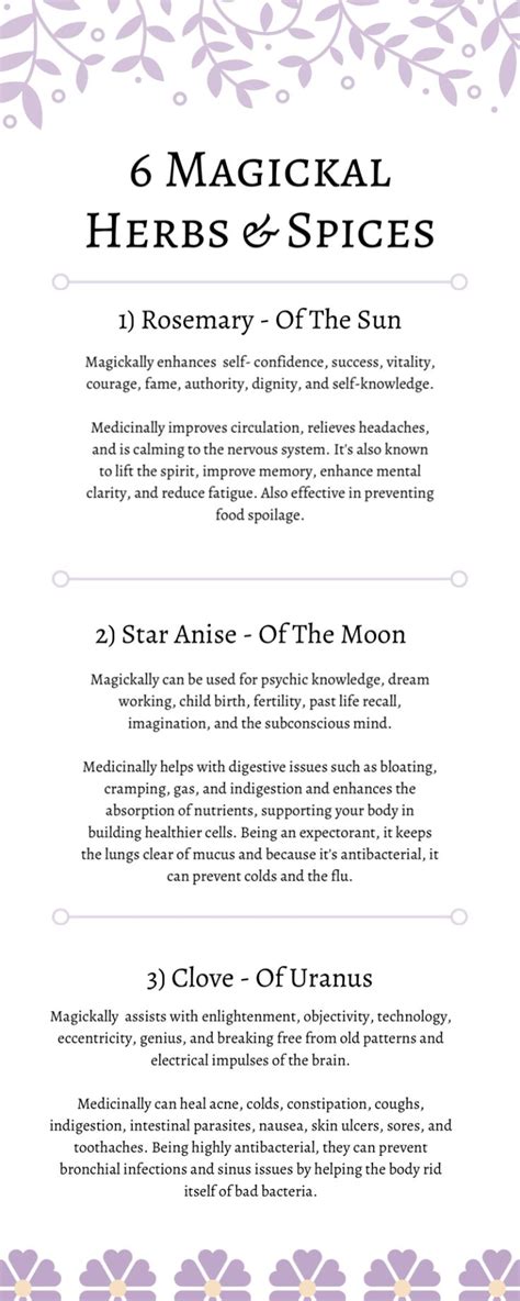 Six Herbs Spices To Enhance Your Magickal Culinary Life In 2023